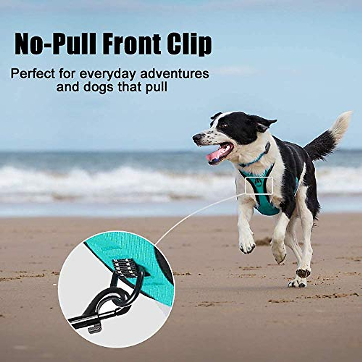 PoyPet No Pull Dog Harness, Reflective Comfortable Vest Harness with Front & Back 2 Leash Attachments and Easy Control Handle Adjustable Soft Padded Pet Vest for Small to Large Dogs (Mint Blue,M)