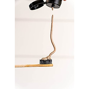 Redmond Earthpaste with Silver - Natural Non-Fluoride Toothpaste, 4 Ounce Tube (Cinnamon) (Cinnamon, 2 Pack)