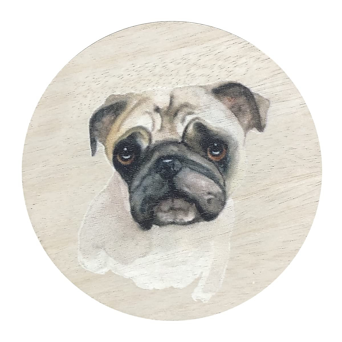 Sand + Paws Scented Candle - Vanilla Sandalwood –Luxurious Air Freshening Jar Candles Neutralize pet Odors and Enhance Home décor – 100% Cotton Lead-Free Wicks - 12 oz