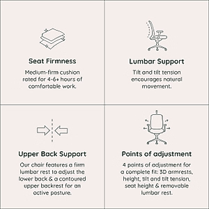 Branch Daily Chair - Computer Office Chair with Swivel, Lumbar Rest, and Adjustable Armrests - Sustainable, Stylish Mesh, & Adjustable Armrests - Comfortable Seating for Improved Posture - Black