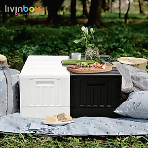 livinbox 45L collapsible storage bins with door, comic books container, dust-proof stack-able folding box for Home Office Bedroom Dorm Toys Bedding, white & transparent, FB-6432S-WTTR