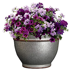 Classic Home & Garden 10512D-531R 12" Alena Planter, Distressed Galvanized