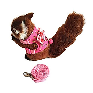 Wontee Small Pet Harness Vest and Leash Set with Bowknot and Bell Decor for Gerbil Guinea Pig Squirrel Kitten Outdoor Walking (S, Pink Star)