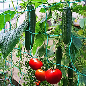 Zivisk 2Pcs Cucumber Tomato Trellis Netting, Heavy Duty Garden Netting for Climbing Plants Support, Pea, Grape, Bean, Fruit, Vegetables - 4" Mesh Size, 3Ft x 6Ft