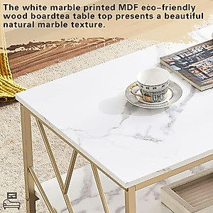 MKJLWO White Coffee Tables for Living Room, Square Marble Gold Coffee Table 2-Tier Storage Modern Center Table White Home Furniture Office Decor 43×21in