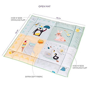 Taf Toys North Pole Four Seasons Play Mat