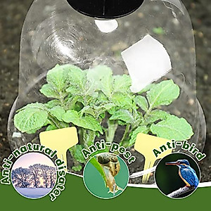 Remerry 20 Pack Garden Cloche Clear Bell Covers Freeze Protection Humidity Domes Plastic Dome 7.3 x 6.7 Inch with 60 Ground Securing Pegs and Plant Labels for Plants Seed Starting Greenhouse