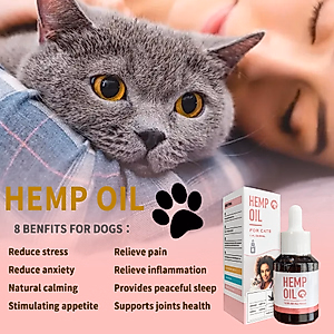 ZOEDUL Calm Your Feline Friend with Hemp Oil for Cats - Cat Calming, Cat Anxiety Relief, Digestion, Immunity, Hip & Joint Support
