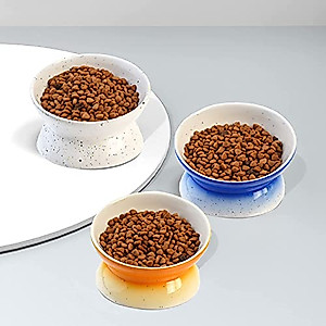Elevated Cat Bowls Whisker Fatigue,Tilted Raised Cat Food Bowls,Ceramic Cat Bowl Whisker Friendly for Flat Faced Cats and Small Dogs,Anti-Vomiting and Reduce Neck Burden,Dishwasher and Microwave Safe