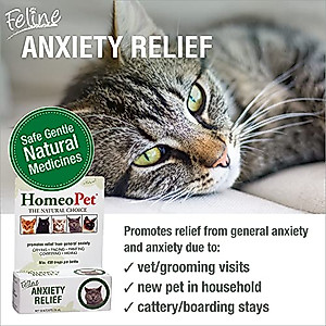 HomeoPet Feline Anxiety Relief, Stress and Anxiety Support for Cats, 15 Milliliters