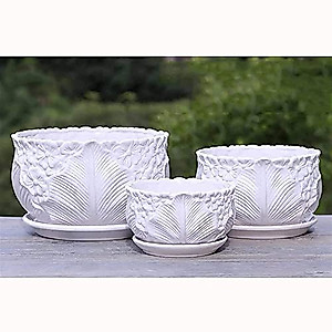 Miikoo1 White Flower Pot Outdoor Ceramic Bonsai Planter Indoor Desktop Balcony Simple Personality Plant Pot with Drainage Hole and Tray, Home Balcony Green Plants Bonsai