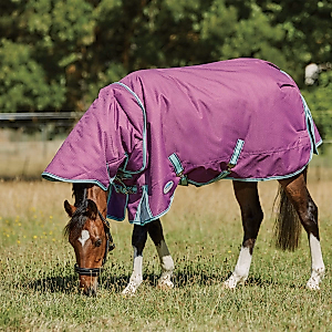 WeatherBeeta ComFiTec Premier Freedom Pony Detach-A-Neck Medium Horse Blanket, Purple/Navy/Mint, 63"