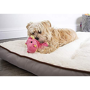 goDog Bubble Plush Dragons Squeaky Dog Toy, Chew Guard Technology - Coral, Small