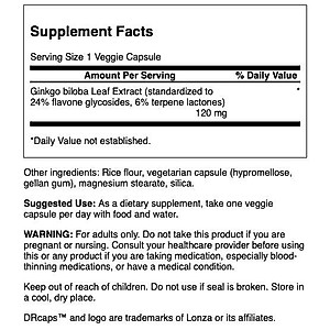 Delayed-Release Ginkgo 120 mg 100 Caps by Swanson Ultra