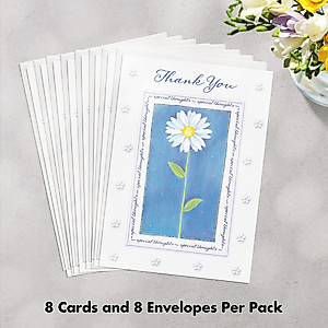 Designer Greetings Thank You Cards, Special Thoughts Meant So Much Message for Any Occasion (8 Daisy Thank-You Notes and Envelopes)