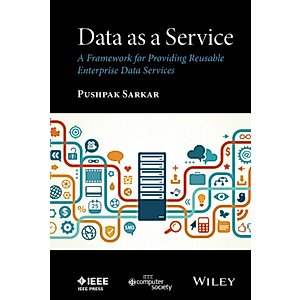 Data as a Service: A Framework for Providing Reusable Enterprise Data Services