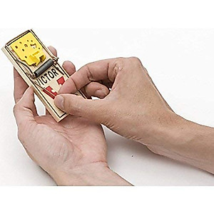 Victor Easy Set Mouse Traps (Pack of 12)