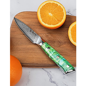SANMUZUO 3.5 Inch Paring Knife - Kitchen Fruit Vegetable Knife Damascus Steel & Resin Handle - XUAN Series (Jade Green)