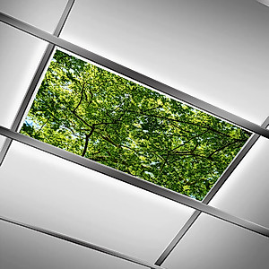 DIQISHIZHU Fluorescent Light Covers for Classroom Office - 2ft x 4ft LED Light Filters, Eliminate Harsh Glare & Eyestrain, Decorative Classroom Light Covers, Light Diffuser Panel.Thick Green Woods