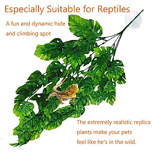 Hamiledyi Fake Plant Reptile Tank Hanging Plants with Suction Cup 3pcs Leaves Vines for Reptile Tank Bearded Dragons,Lizards,Geckos,Snake and Hermit Crab Tank Habitat Decorations 30 Inches Green