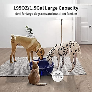 Kastty 195oz/6L Dog Water Fountain Premium Large Pet Water Fountain Ultra Quiet BPA-Free Cat Fountain, Safe Smart Pump& Triple Filtration, 2 Filter Sets, Ideal for S-L Dogs and Multi-Pet Families