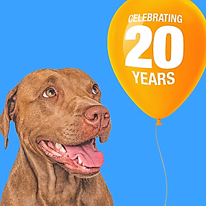 ValueBull Beef Trachea, Premium 5-6 Inch, 50 Count Bulk Pack - Angus Beef Dog Chews, Grass-Fed, Single Ingredient