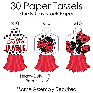 Big Dot of Happiness Happy Little Ladybug - 90 Chain Links and 30 Paper Tassels Decoration Kit - Baby Shower or Birthday Party Paper Chains Garland - 21 feet