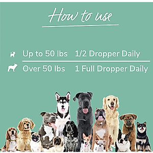 WONDER PAWS Organic Hemp Oil Plus Probiotic Superhero Chews - for Dogs Gut Health, Digestion, Immune Support, Joint Health & Calmness - Hemp Oil 60 ml - Probiotic 90 Chews