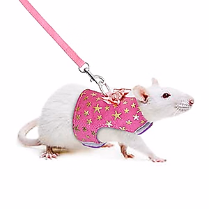 N/A Small Pet Rabbit Harness Vest and Leash Set for Ferret Guinea Pig Bunny Hamster Rabbits Puppy Kitten Bowknot Chest Strap Harness (Color : B, Size : Medium)