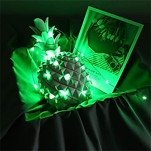 yongzhenlite 4 Pack Battery Operated Fairy Lights with Timer, Led Mini Lights for Christmas and Halloween Lighting Decoration, 6 Hours ON/18 Hours Off,30 Count LEDs,10 Feet (Green)