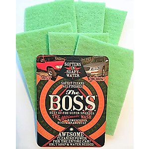 Bug Removing Boss Sponge, Easy Reach Kit - UPGRADED Version