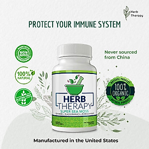 Herb Therapy Sea Moss Capsules 100 Pack - Irish Sea Moss with Bladderwrack Powder & Burdock Root Powder - Keto & Alkaline Diet Support - No Fillers Seamoss Raw Supplement