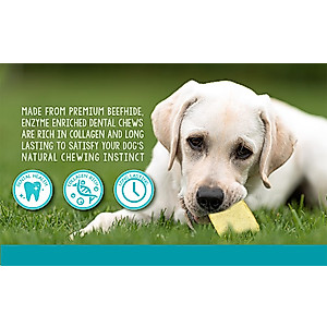 Real Hide | Enzyme Enriched Dental Care Dog Chews | Dog Dental Chews | Medium/Large | Aprox. 30 Chews