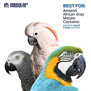 Prevue Pet Products Naturals Physical & Mental Munch 'n' Crunch Bird Toy 62822