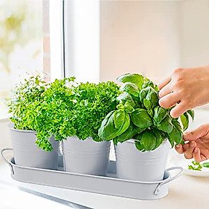 Herb Garden Planter Set – 3-Pcs Set Galvanized Metal Herb Planters for Indoors Plants with Tray – Indoor Plant Pots for Apartment Window, Balcony, Garden – Potting Pots for Herbs and Flowers
