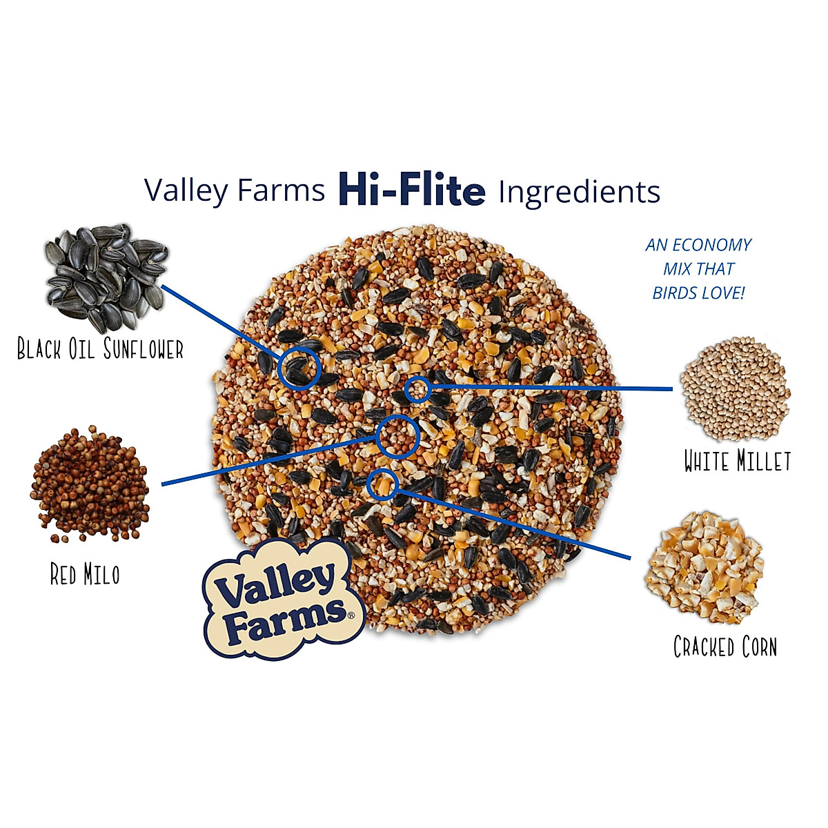 Valley Farms Hi-Flite Wild Bird Food for Outside Feeders- Best Value Economy Wild Bird Seed for All Species of Birds with Black Oil Sunflower, 5 LBS 2-Pack (10 LBS Total)