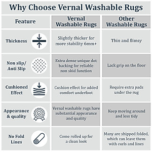 Vernal Machine Washable Non Slip Area Rug for Living Room, Bedroom, Dining Room Pet Friendly High Traffic Non-Shedding Rugs Senglea Persian Collection Carpets 5 X 7 Feet Grey