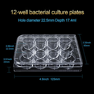 LVDALAB 12 Well Bacterial Culture Dishes Tissue Culture Dish Polystyrene Petri Dish with Lids Educational Petri Plates for Lab Science Experiment, Pack of 10,Sterile