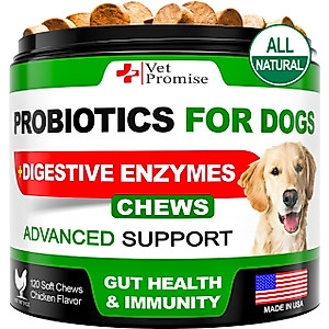 Probiotics for Dogs - Dog Probiotics and Digestive Enzymes for Gut Health, Itchy Skin, Allergies, Immunity, Yeast Balance - Prebiotics - Reduce Diarrhea, Gas - 120 Probiotic Chews Supplement for Dogs