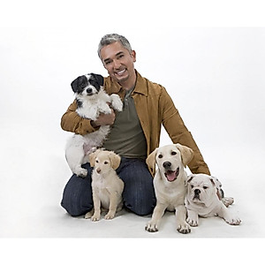 Cesar Millan Slip Lead Leash™ - 2-in-1 Slip Collar Dog Training Lead & Collar | Heavy Duty Durable Weatherproof Rope Leash, No Pull Training | Length 4ft Diameter 4/10”(Regular, Red/Olive)