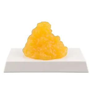 Human Body Fat Replica 1 lb with Display Base, Keep Fit & Weight Loss Motivation & Reminder, Human Fatty Tissue Demonstration Model for Nutritionist