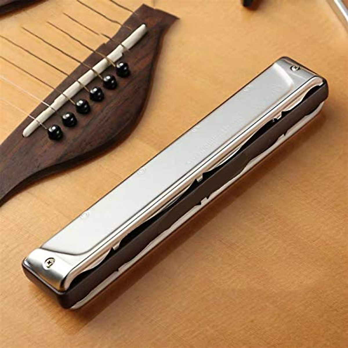 WAAZVXS Harmonica Key C 24 Holes Harp Phosphor Bronze Reeds ABS Comb Musical Instruments Professional (Color : 2430 Key C)