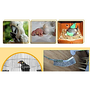 Bonaweite 3 Pack Wooden & Stainless Steel Long Handle Bird Cleaning Brush, Pet Supply Cage Accessory for Parrot Birds