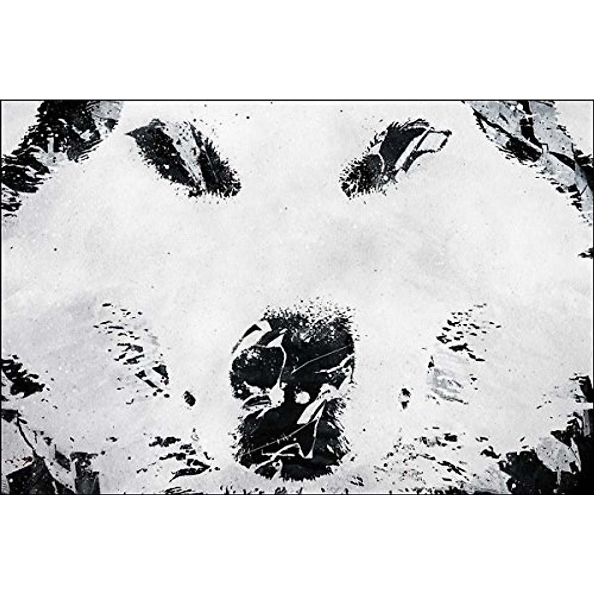 Lone Wolves Fine Art Print (Condo Size) - 42 X 28 Inches by Alex Cherry