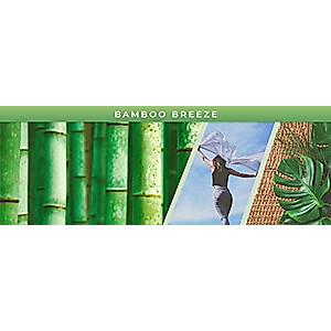 Smoke Odor Exterminator 13 oz Jar Candles Bamboo Breeze, (2)