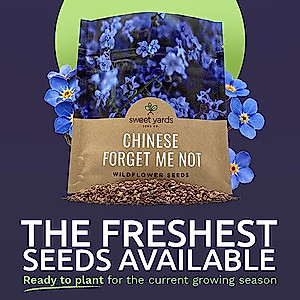 Chinese Forget Me Not Wildflower Seeds - Bulk 1 Ounce Packet - Over 5,500 Open Pollinated Seeds - Blue Cynoglossum amabile