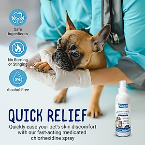Alpha Dog Series Chlorhexidine Spray (8 oz) – Easy-Apply Skin Relief – Soothes Hot Spots, Rashes in Dogs & Cats - Itch Relief – Lightly Scented