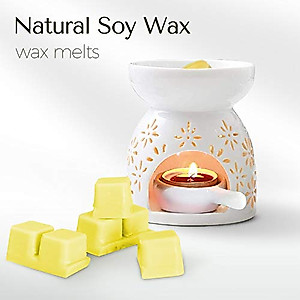 SCENTORINI Scented Wax Melts, Wax Cubes, Scented Soy Wax Melts, 8x2.5 oz, Pumpkin, Apple & Cinnamon, Winter Cedarwood, Mint & White Jasmine, Coconut & Vanilla, Black Pomegranate, Mediterranean Fig