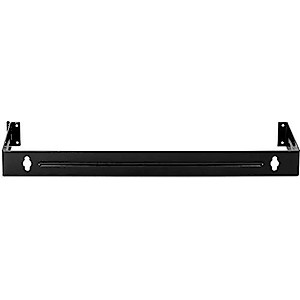 TRENDnet 1U 19-inch Hinged Wall Mount Bracket for Patch Panels and PDU Power Strips, TC-WP1U, Supports EIA-310, Steel Construction,Use TC-P24C6 & TC-P16C6 Patch Panels(Sold Separately)