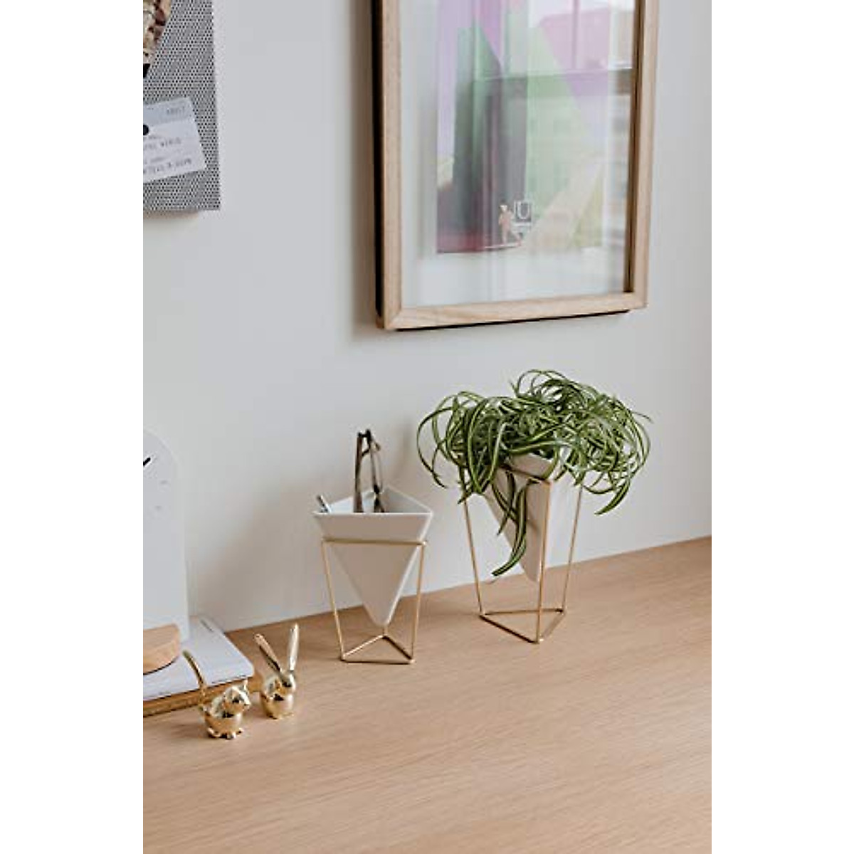 Umbra - 1004372-524 Trigg Desktop Planter Vase & Geometric Container-for Succulent, Air, Mini Cactus, Faux Plants and More, Desk, White/Brass